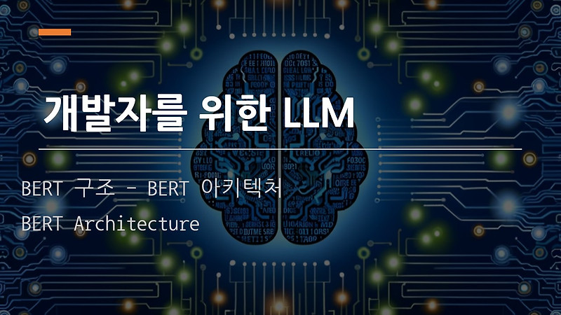 [개발자를 위한 LLM] BERT 구조