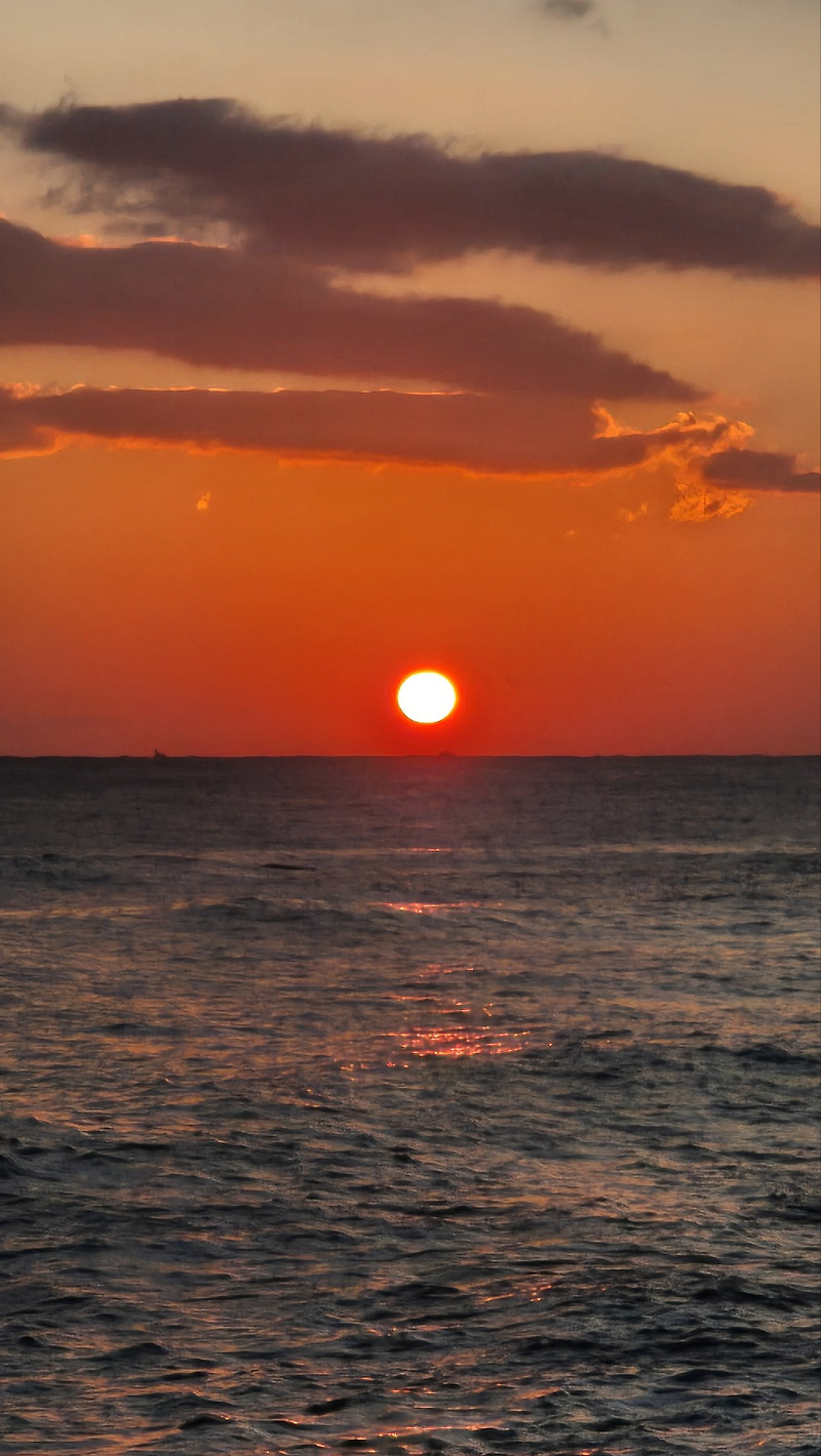 2025년 1월 1일, 첫 일출 :: 퇴근이 빨라지는 Excel, Excellator