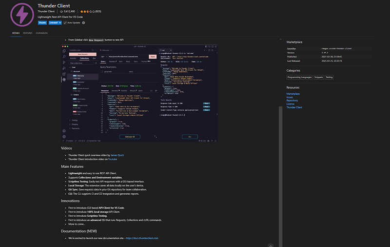 [Thunder Client] Flutter REST API 테스트 도구 추천! VS Code 확장 Thunder Client 사용법과 후기