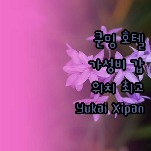 쿤밍 Yukai Xipan Audiovisual Hotel 후기 가성비와 위치 모두 만족!