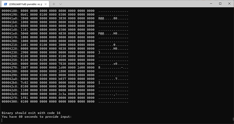 UTCTF 2022 - Automated Exploit Generation 2 풀이