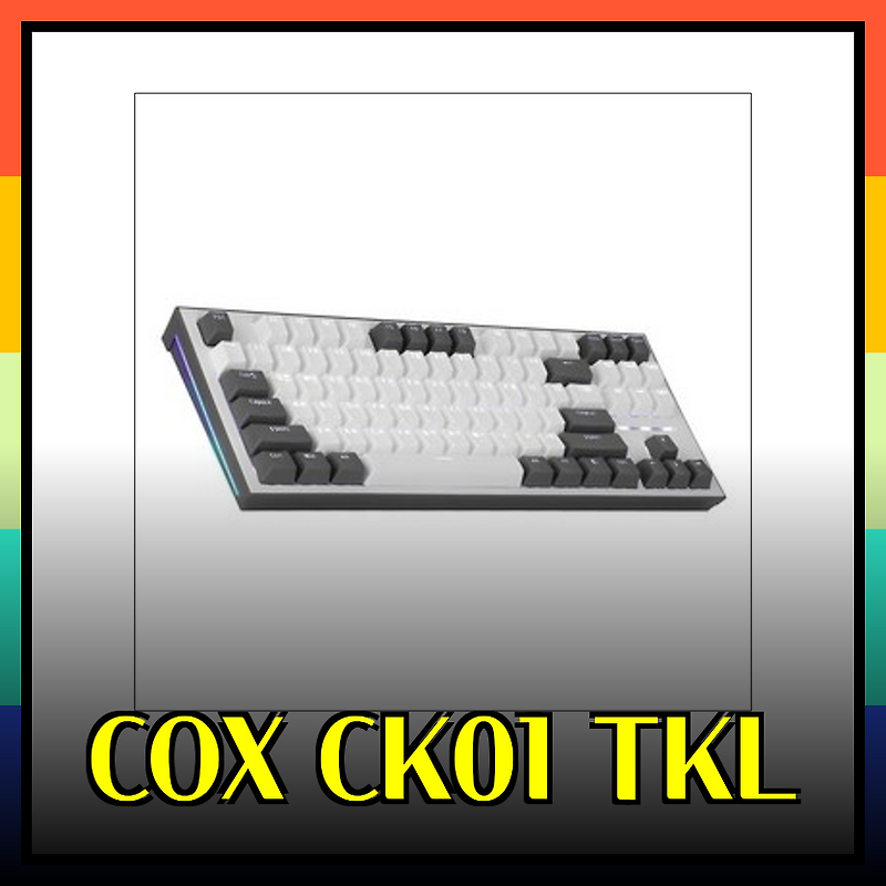 텐키리스 적축 키보드 추천: COX CK01 TKL & 조이트론 JTMK-200S 비교분석