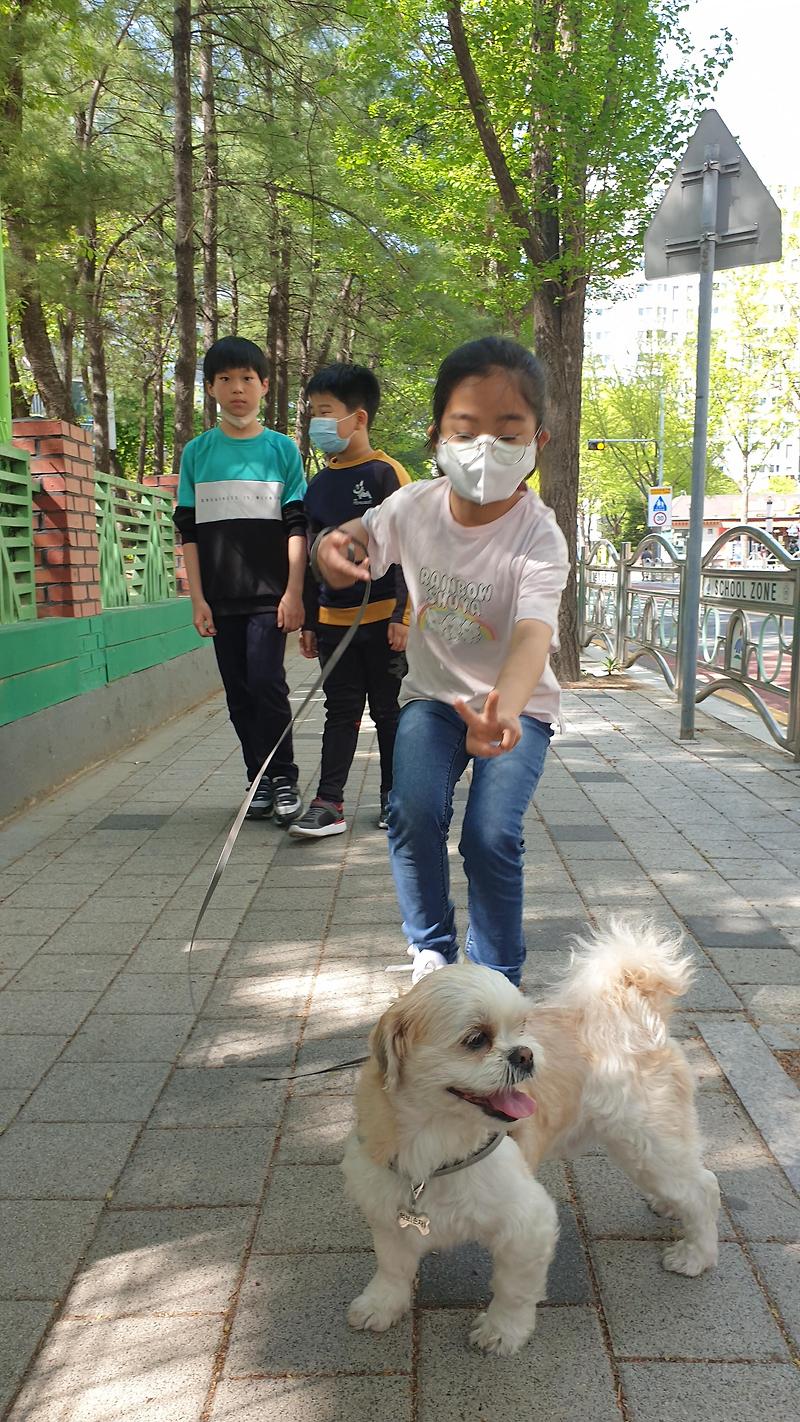 방화동 배움놀이터 | D-day 1 첫 번째 수업 반려동물 산책시키기 :: 방화11종합사회복지관