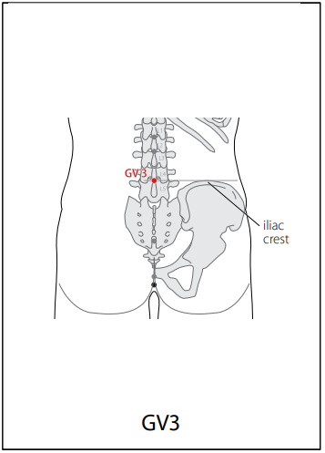 [경혈검색] 독맥 (GV) > GV3 요양관 (腰陽關)