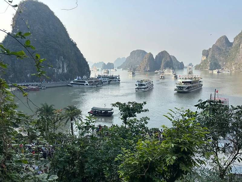 Catherine Cruise Review: 2-Day Halong Bay Experience with Birthday ...