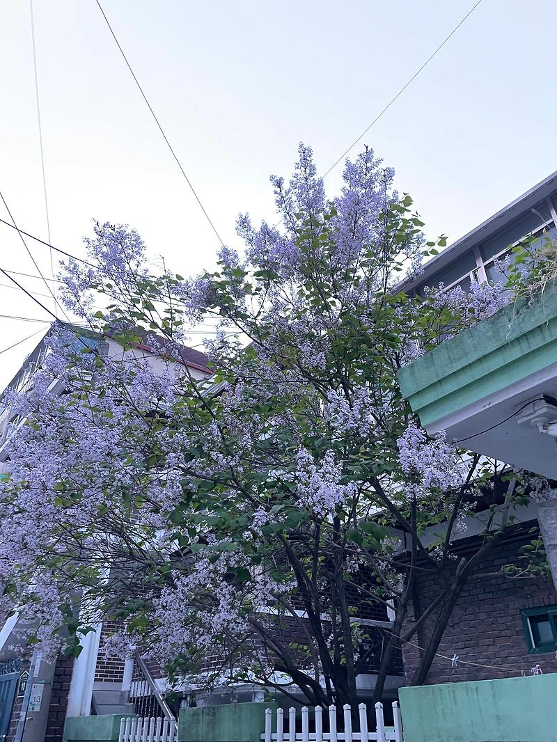 우리 FISA AI엔지니어링 15주차 과정 — EggBoy Coding