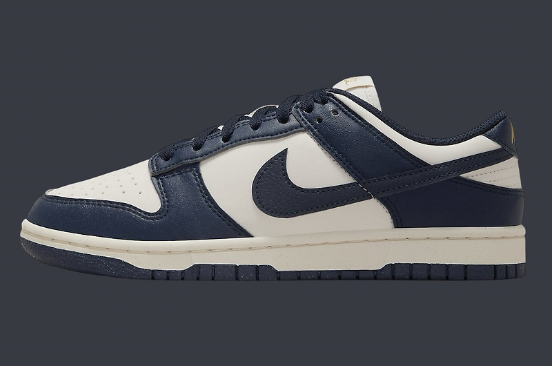 [나이키] 덩크 로우 '올림픽' 오피셜 이미지 공개 및 발매예정 - Nike Dunk Low Next Nature ...