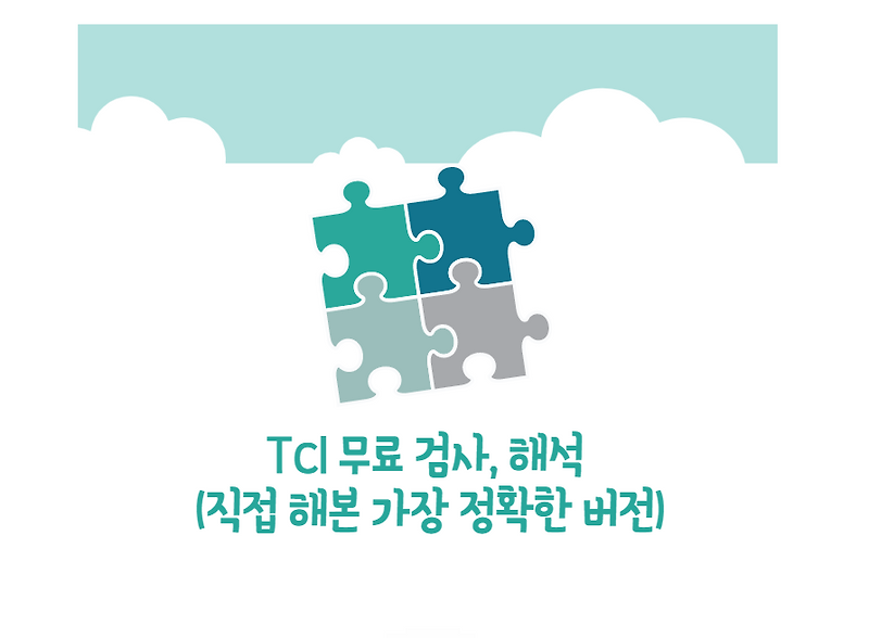 TCI 무료 검사, 해석 (직접 해본 가장 정확한 버전)