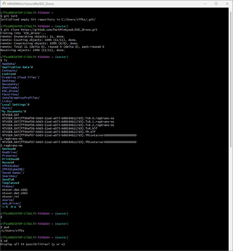 Github Remove Folder/File