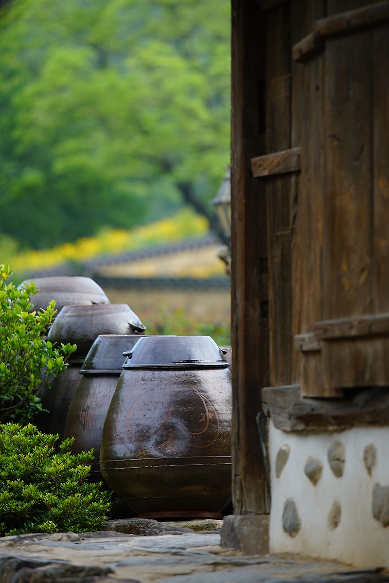 4월 국내 여행 추천: 벚꽃과 봄바람을 만끽할 시간