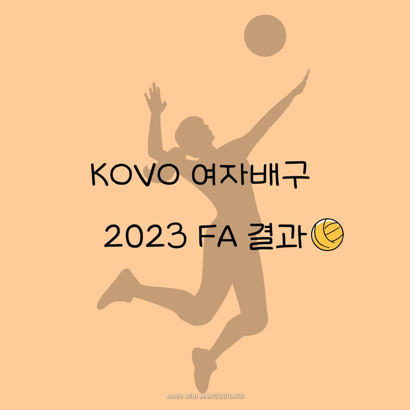 2023년 여자배구 FA (자유계약선수) 결과 알아보기