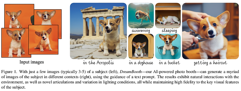 DreamBooth: Fine Tuning Text-to-Image Diffusion Models for Subject ...