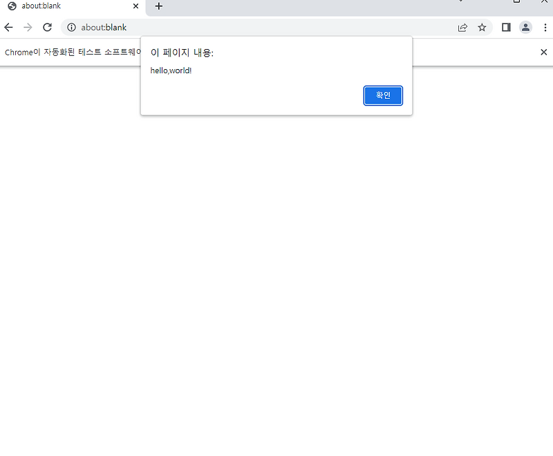 VBA Selenium 크롤링에서 JavaScript 코드 사용하기