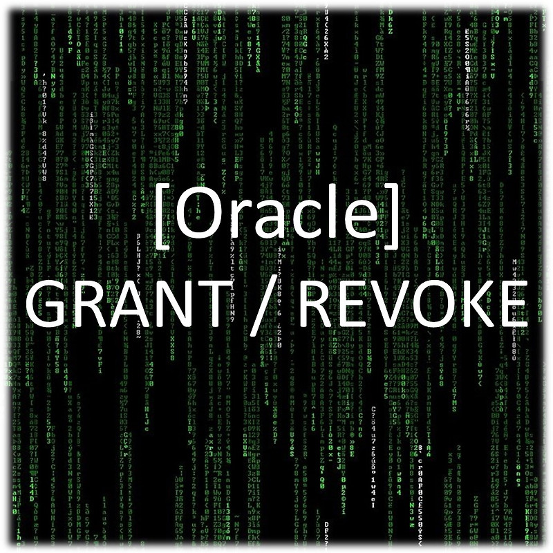 [Oracle] DCL - GRANT, REVOKE