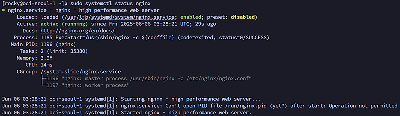 Nginx Can't open PID file /run/nginx.pid 해결법 :: rainforest
