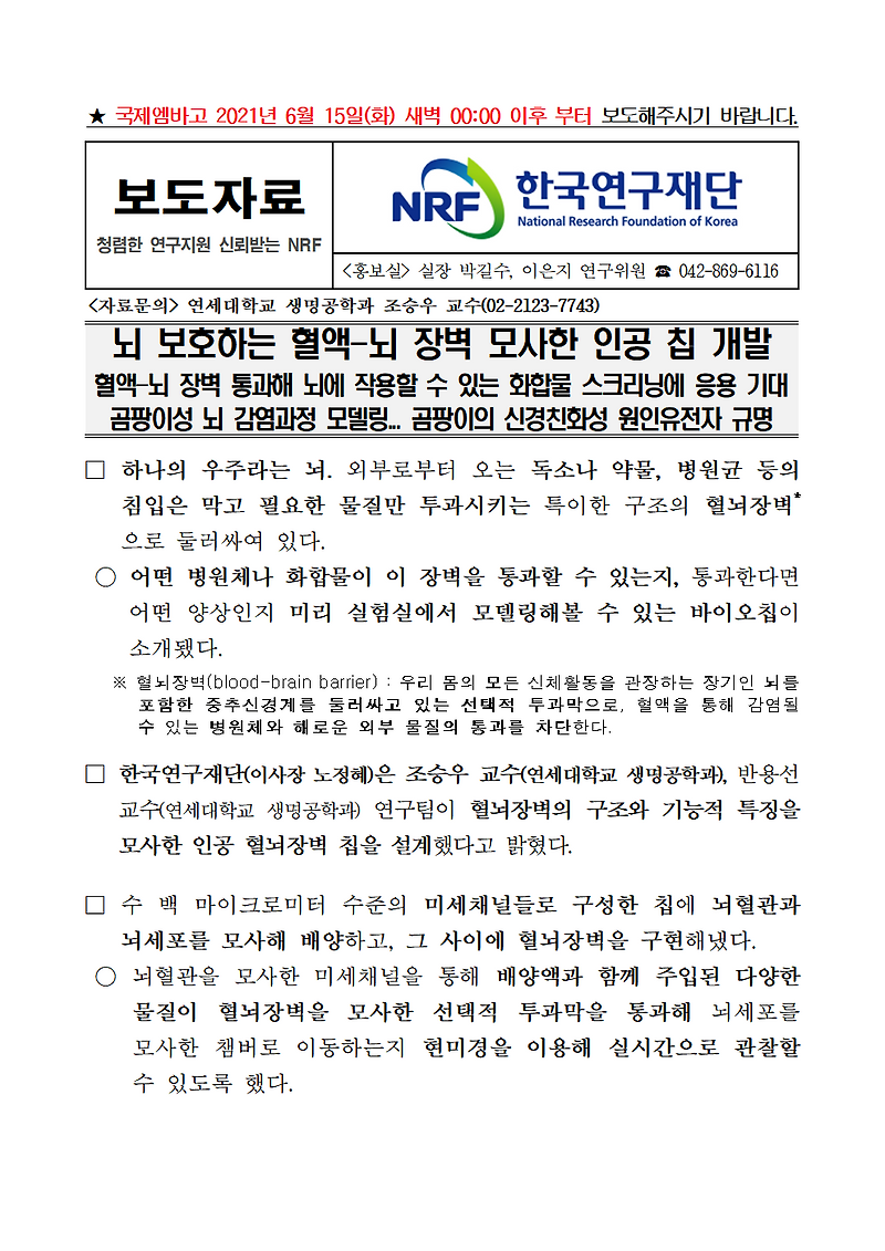 뇌 보호하는 혈액-뇌 장벽 모사한 인공 칩 개발-혈액-뇌 장벽 통과해 뇌에 작용할 수 있는 화합물 스크리닝에 응용 기대