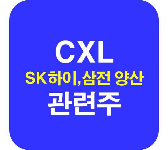 CXL 양산 관련주 5종목, 넥스트 HBM으로 평가