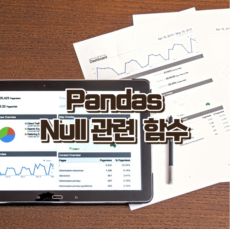 Pandas Null값 관련 함수