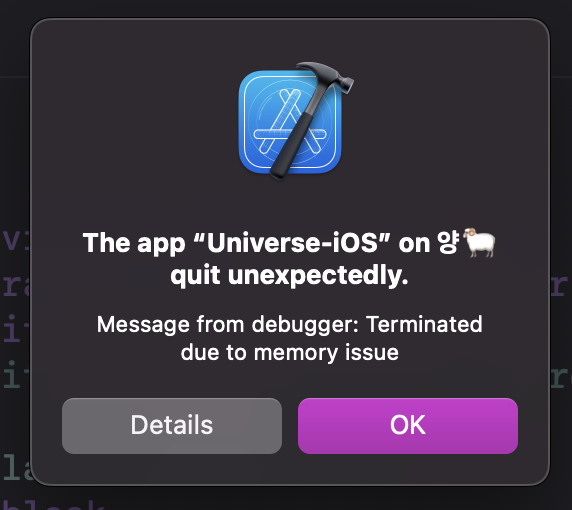 [Swift] MEMORY LEAK 잡기