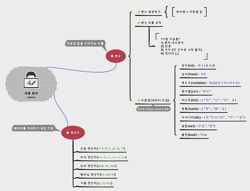 파이썬 기초: 변수와 연산자 - [python basic/Oddmin]