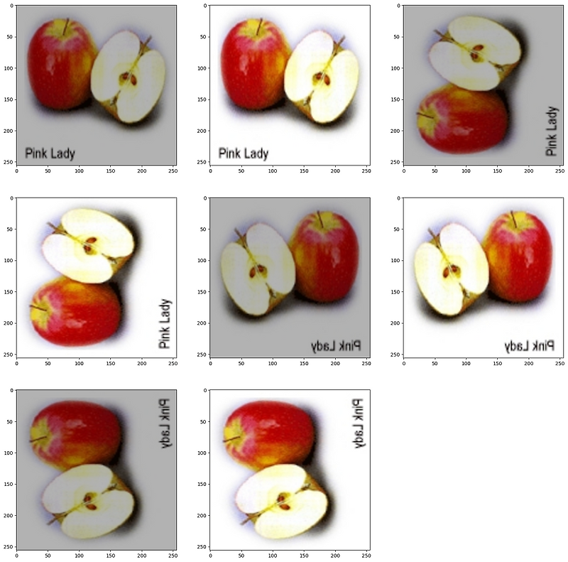 Test Time Augmentation 알아보기 — Hello Computer Vision