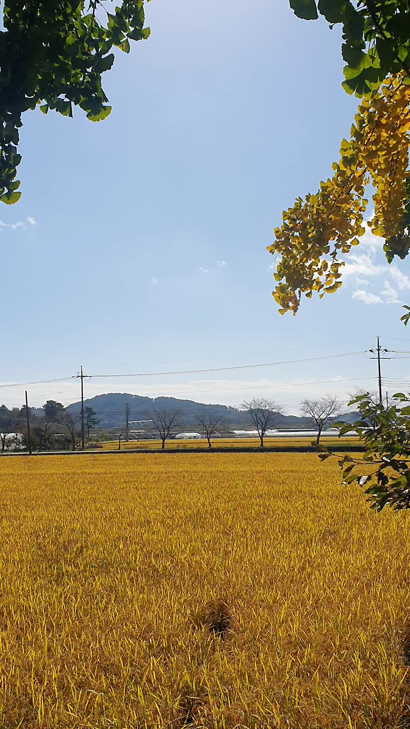 중요한 사람보다 멋진 사람