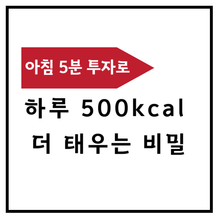 아침 5분 투자로 하루 500kcal 더 태우는 비밀