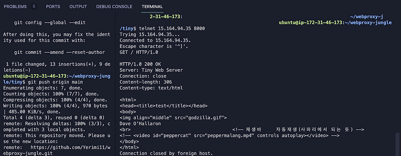 [WEEK07] 네트워크 - Tiny.c, Proxy.c (코드&주석)