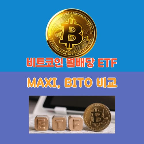 비트코인 월배당 ETF MAXI BITO 수수료 배당 수익률 비교