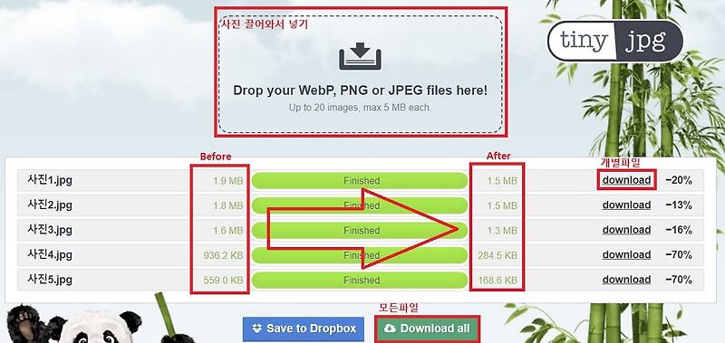 사진 용량 줄이기: TinyJPG로 온라인에서 간편하게! WebP/JPEG/PNG