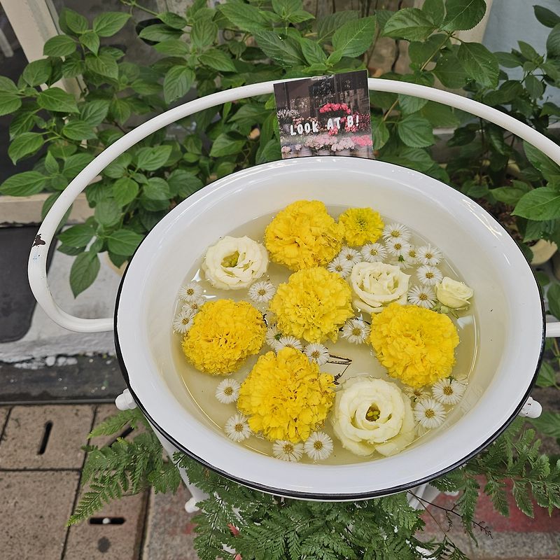 소품샵 사장님의 꽃사랑이 보이는 장식