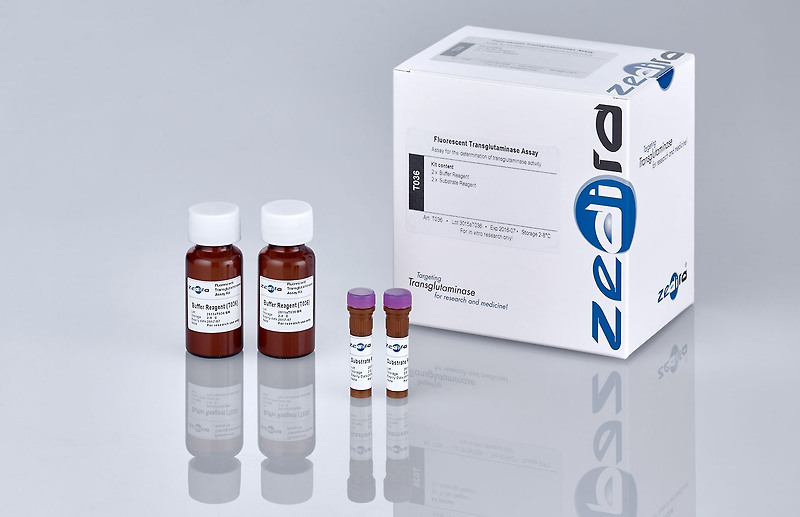 [Transglutaminase fluorogenic Activity Assay] Transglutaminase Assay ...