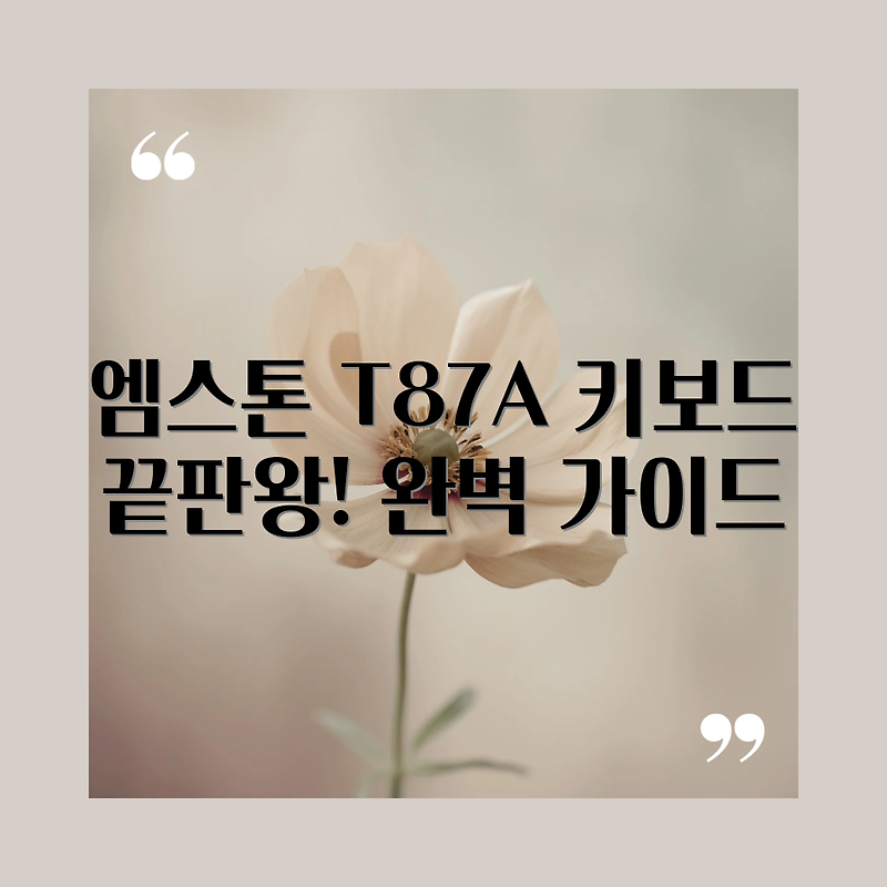 엠스톤 그루브 T87A 완벽 가이드: 키보드 끝판왕