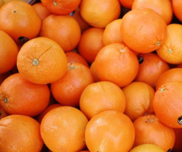 레드오렌지 ROCH 효능과 부작용