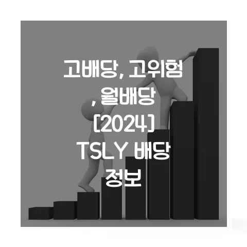 2024 고배당, 고위험, 월배당 TSLY 배당 정보