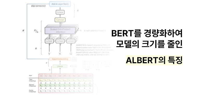 BERT를 경량화하여 모델의 크기를 줄인 ALBERT의 특징