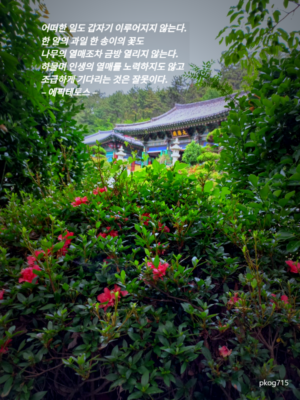 ?scode=mtistory2&fname=https:%2F%2Fblog.kakaocdn.net%2Fdn%2FPEMMo ...