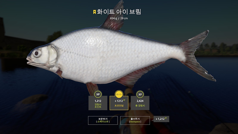러시안 피싱 4 볼호프 강 화이트 아이 브림 트로피 & 색깔 브림 조과 / Volkhov River White Eye bream ...