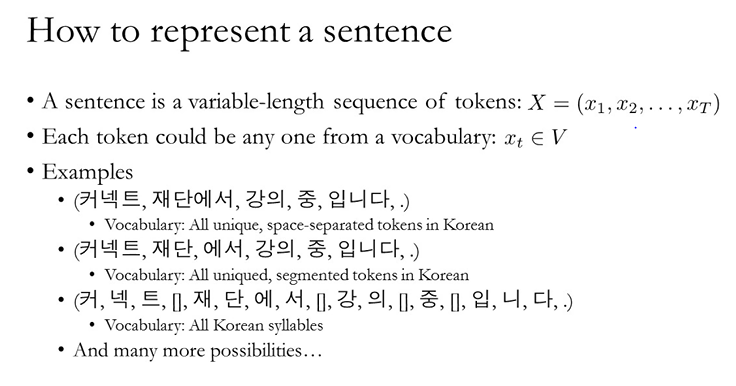 How to represent sentence & token?