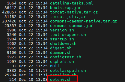 APNs Push Sending Exception :java.util.concurrent.ExecutionException: io.netty.channel ...