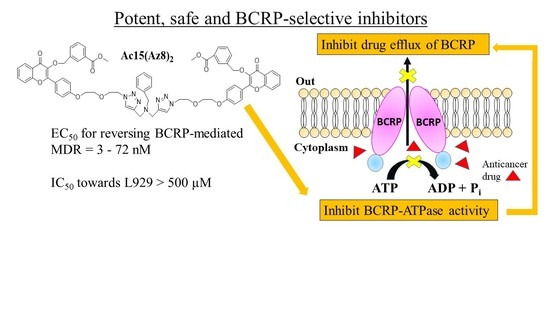 [Distribution] BCRP Inhibitor