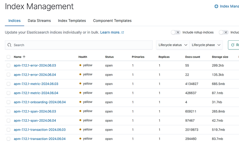 [Elastic APM] APM Index 날짜 별 관리