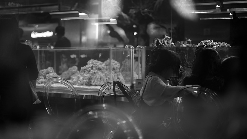 낯선 정취 :: Unusual Mood
