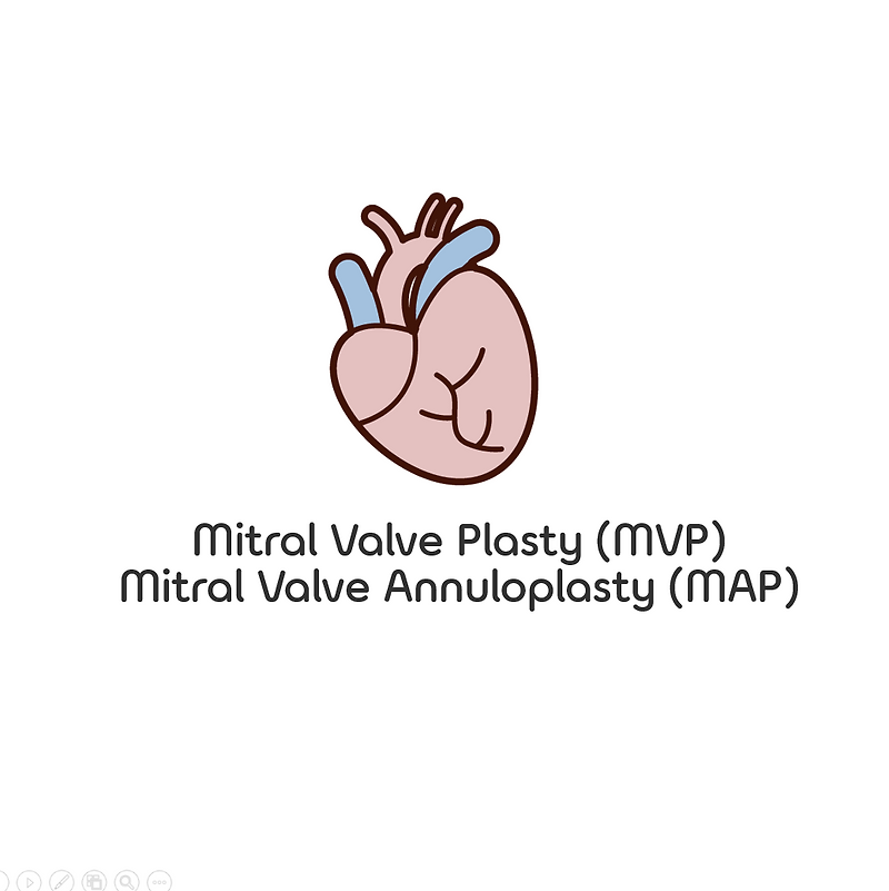 TS / Mitral Valve Plasty (MVP), Mitral Valve Annuloplasty (MAP)