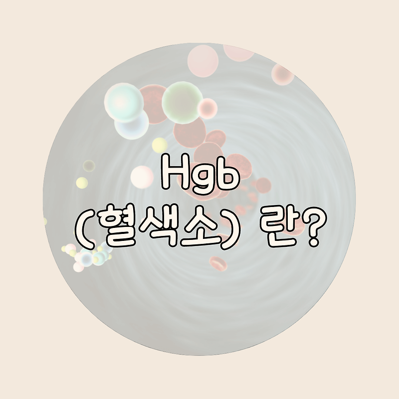 Hgb(혈색소) 란? 높으면 낮으면 정상수치 유지하는 방법