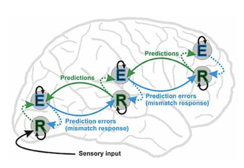 [Paper Review] PCN(Predictive Coding Network) - Background, Abstract