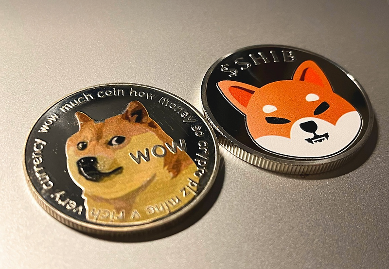 밈 코인(Meme Coin)도 투자다! SATS코인 전망