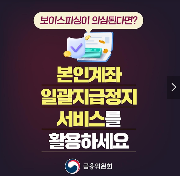 보이스피싱 의심될때, 본인계좌 일괄지급정지 서비스 이용방법, 대상계좌, 신청방법, 정지해제 등 완벽 총정리