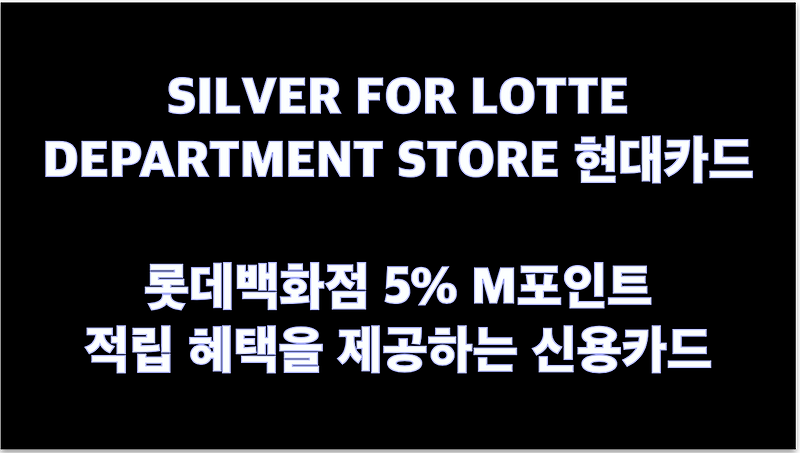SILVER FOR LOTTE DEPARTMENT STORE 현대카드 총정리