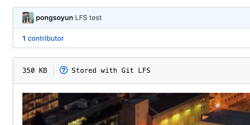 [git] git LFS(Large File Storage)